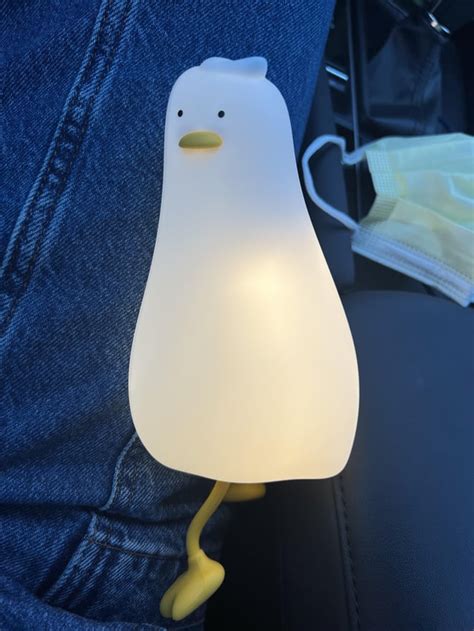 Emotional Support Pal Radhdwomen