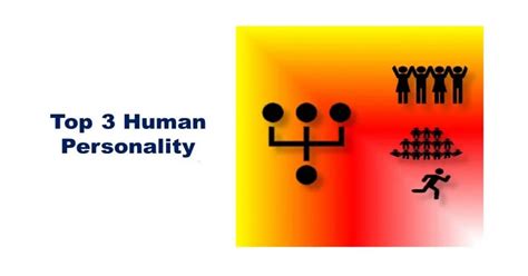 Extrovert Personality Traits