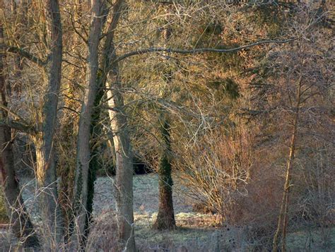 Vallée De Chevreuse