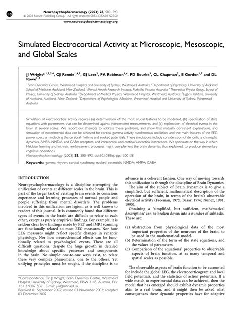 Pdf Simulated Electrocortical Activity At Microscopic Mesoscopic And Global Scales
