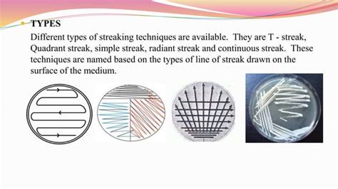 Isolation Of Industrial Microorganisms Pptx Biological Sciences Science