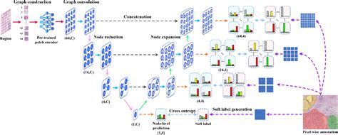 Figure From A Hierarchical Graph V Net With Semi Supervised Pre