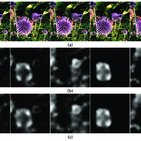In Focused Regions Of The Different Focal Stack Images Using Sml And