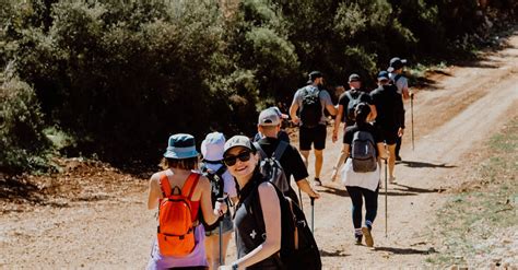 건강한 걷고 있는 걷기 경치 경치가 좋은 광야 그룹 길 등산객 라이프스타일 레저 레크리에이션 맑은 공기