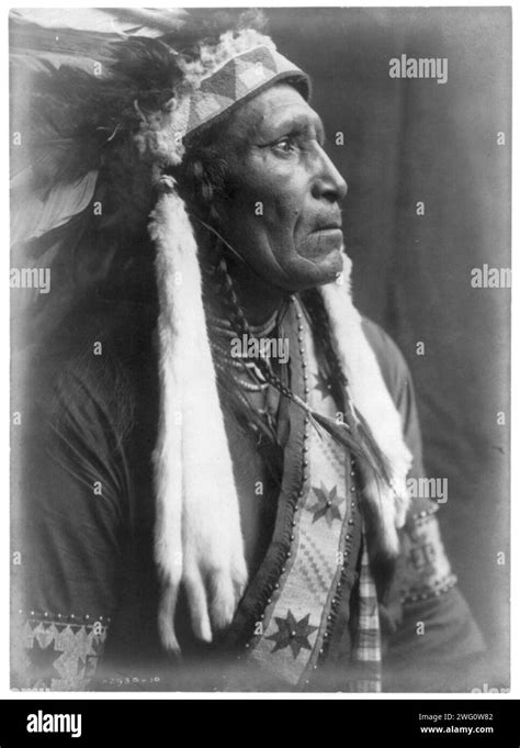Raven Blanket Nez Percé C1910 Raven Blanket Half Length Portrait Facing Right Wearing