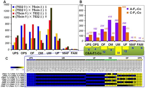 Gene Expression Patterns Clustered By Hybrid Combination A