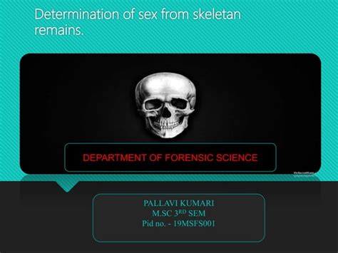 Determination Of Sex From Skeletal Remains Pptx