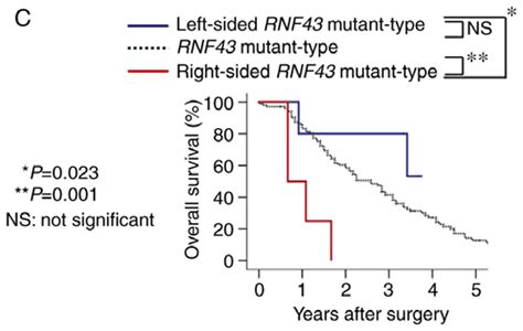 Overall Survival According To Rnf43 Mutation Status And Primary Tumor Download Scientific