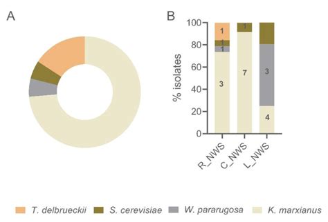 yeast species frequencies and distribution in pr nsw samples pie chart