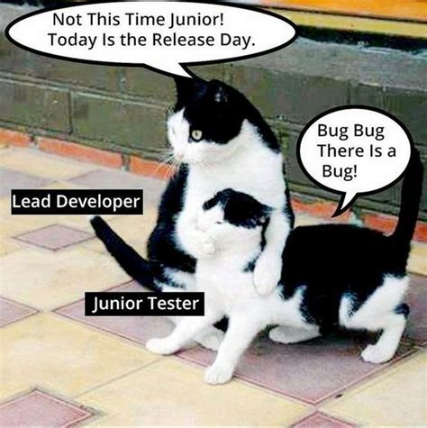 25 funny programming memes for coders only