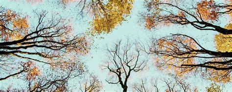 Triodos Investment Management Outperforms In Unpri Assessment