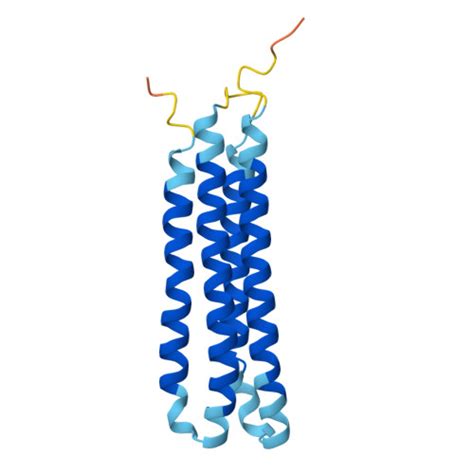 Rcsb Pdb Af Afp23957f1 Computed Structure Model Of V Type Proton Atpase 16 Kda Proteolipid