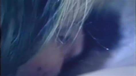 C Hunt 1985 Eric Edwards Bunny Bleu Porn Videos