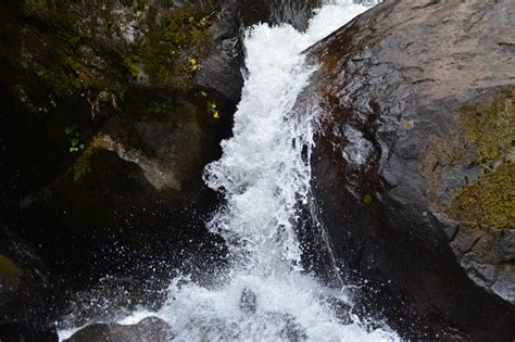 Existing Streaming Apis Available In Different Business Sectors