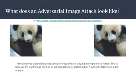 presentation about adversarial image attacks pdf