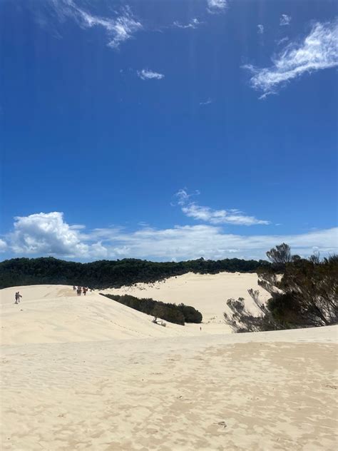 줌줌 후기 오즈투어 브리즈번 모튼 아일랜드 난파선 액티비티영어스노클링샌드보딩투명카약 김수