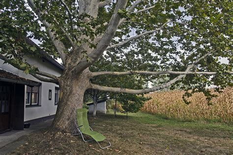 What To Expect From A Solar Consultation