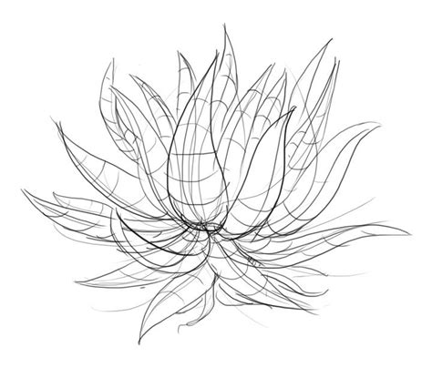 Best Images About How To Draw Realistic Trees Plants Bushes And Rocks On Pinterest Trees