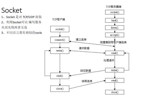 第二十四篇创建最简单的socket服务端和客户端代码 痞子胥 博客园