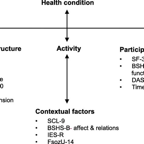 Interactions Between Icf Components According To Who [16] And Download Scientific Diagram
