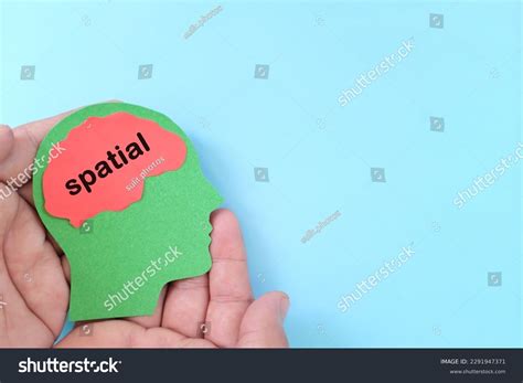 Visual Spatial