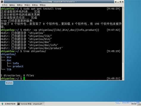 Linux操作命令二 蓝桥云课