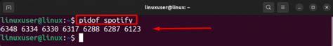 How To Kill Processes In Linux Ubuntu Dracula Servers Tutorials