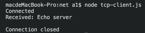node js tcp client and server example · github
