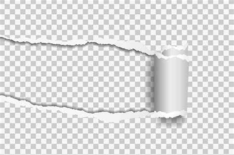 텍스트 프레임 투명 한 배경에 압 연 가장자리 찢어진된 종이의 벡터 현실적인 그림 찢겨진에 대한 스톡 벡터 아트 및 기타 이미지 찢겨진 종이 잎 Istock