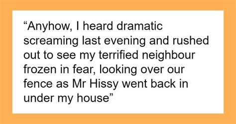 Python Lives Peacefully Under Womans House For Years Neighbor Suddenly Insists On Removing It