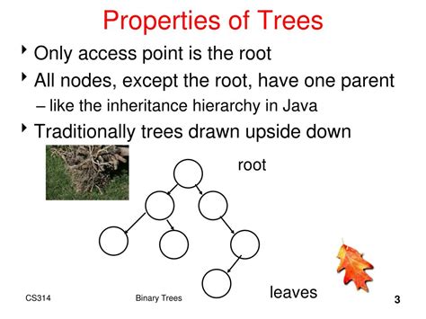 Ppt Understanding Binary Trees Properties Traversals And Implementations Powerpoint