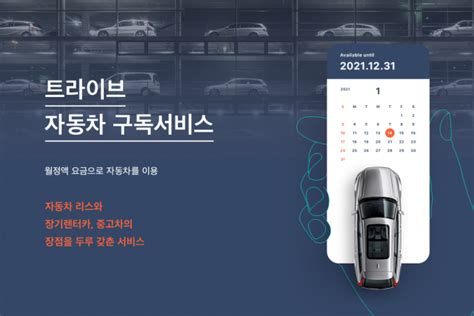 중고차 구독 서비스 ‘더트라이브 정성모터스 등에서 투자 유치 프리a 클로징 스타트업 스토리 플랫폼 플래텀platum