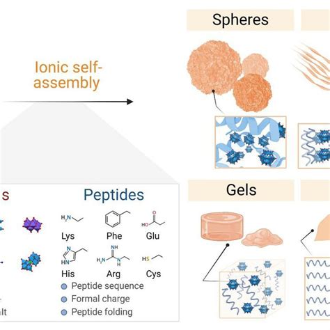 Overview Of The Main Supramolecular Structures And Networks Formed By Download Scientific