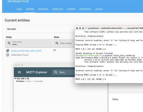 Help Request Loading Python Script At Boot Script Behaves Erratically Raspberry Pi Forums