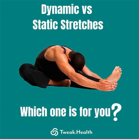 Dynamic Vs Static Stretches Comparing Stretching Strategies