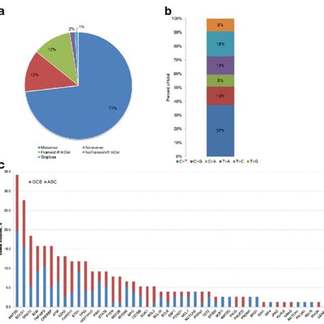 Overview Of Detected Mutations A Classification Of The Detected