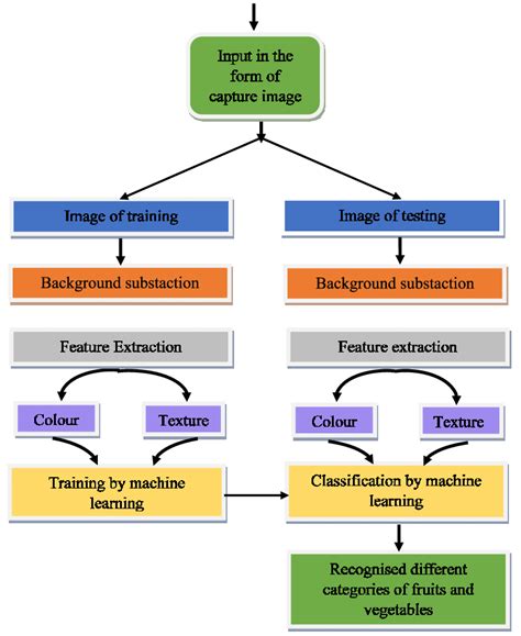 Proposed System For Detection Of Various Categories Of Fruit And