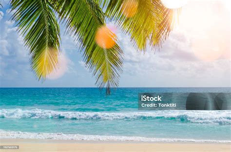 푸른 하늘 흰색 구름 추상적 인 배경열대 해변과 자연 녹색 야자수 잎입니다 여름 휴가 및 비즈니스 여행 개념의 공간을 복사합니다 빈티지 톤 필터 색상 스타일입니다 계절에