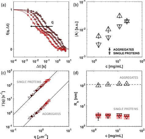 Figure 4 From Protein Sizing With Differential Dynamic Microscopy