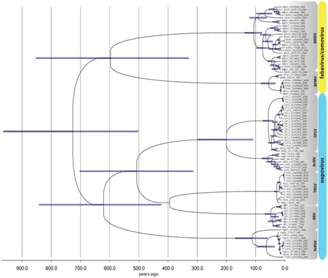 Bayesian Priors Were Set For A Lognormal Relaxed Molecular Clock At The Download Scientific