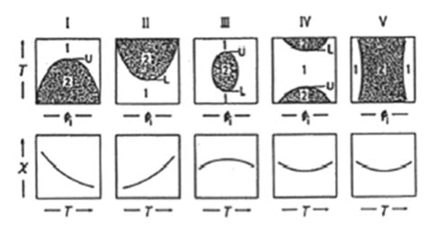 Explain Briefly The Lcstucst Phase Behavior In