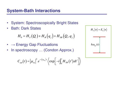 Ppt Nonlinear Spectroscopy Characterizing Fluctuations Powerpoint Presentation Id2281753