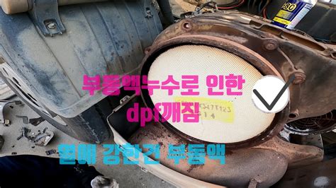 엑시언트 덤프트럭 15년식 Egr쿨러 부동액 누수로 인한 Dpf 재 사용 불능 Youtube