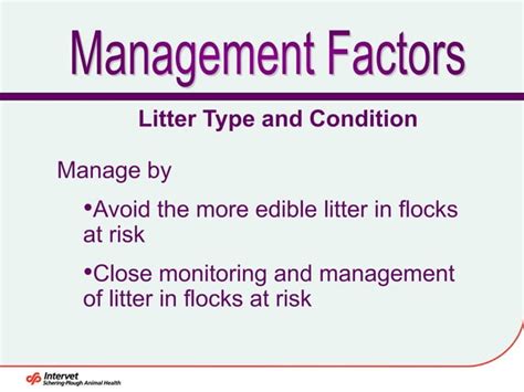Necrotic Enteritispdf