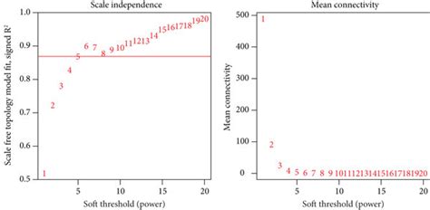 Construction Of A Gene Coexpression Network A Analysis Of The