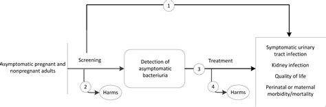 Final Research Plan Asymptomatic Bacteriuria In Adults Screening