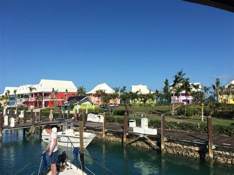 Christmas In The Bahamas Smartini Life