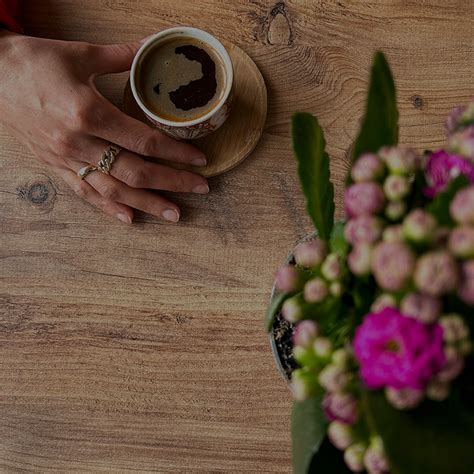 Bulb Garden Workshop At Java Blend Cafe