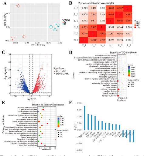 Figure 2 From Transcriptomic And Metabolomic Profiles Provide Insights