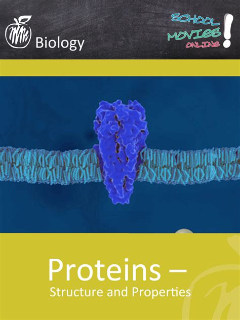 Prime Video Proteins Structure And Properties School Movie On Biology